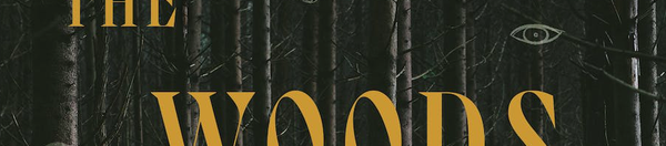 Unsanitary Work: The Woods All Black by Lee Mandelo